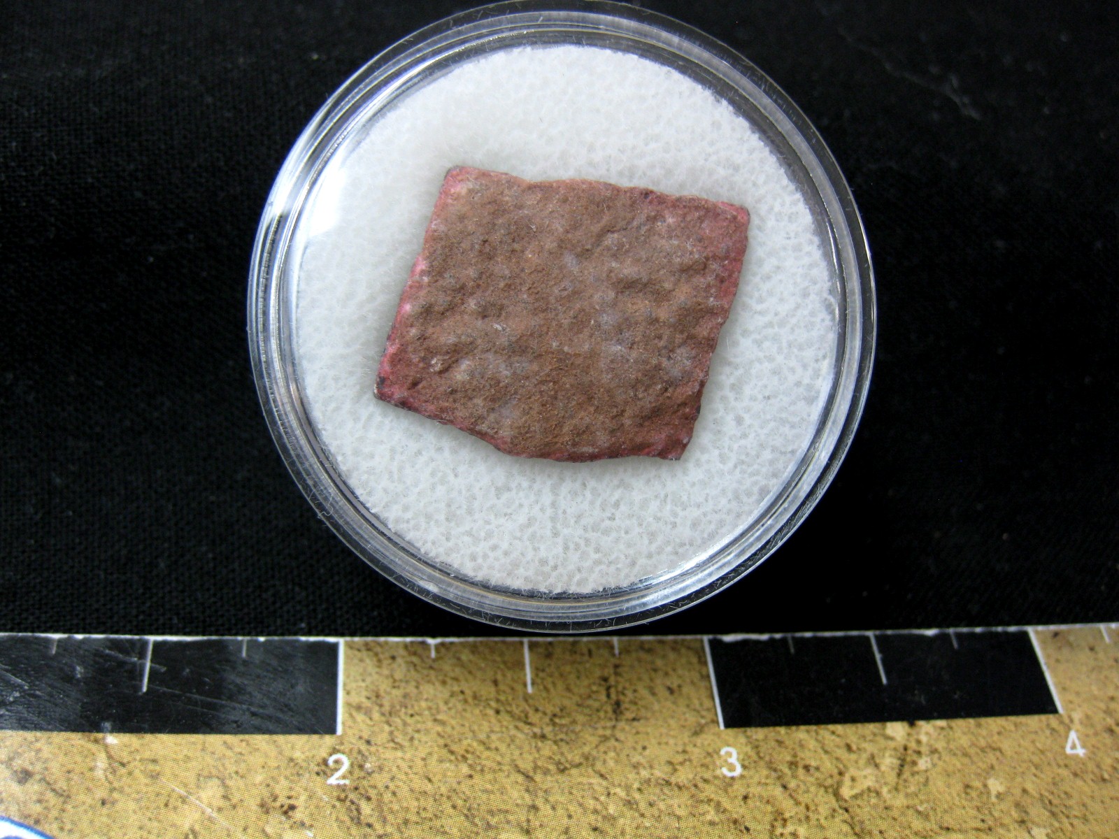 cretaceous-oviraptor-dinosaur-egg-shell-8.jpg for sale